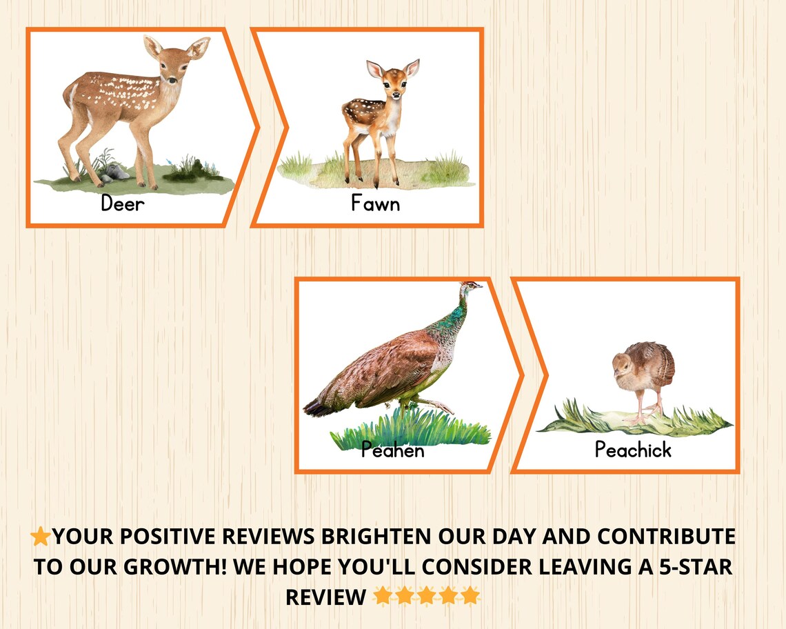 Mother and Baby Farm Animal Matching Card,montessori Farm Unit,farm ...