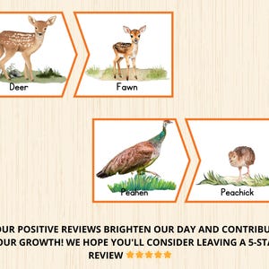 Mother and Baby Farm Animal Matching Card,montessori Farm Unit,farm ...