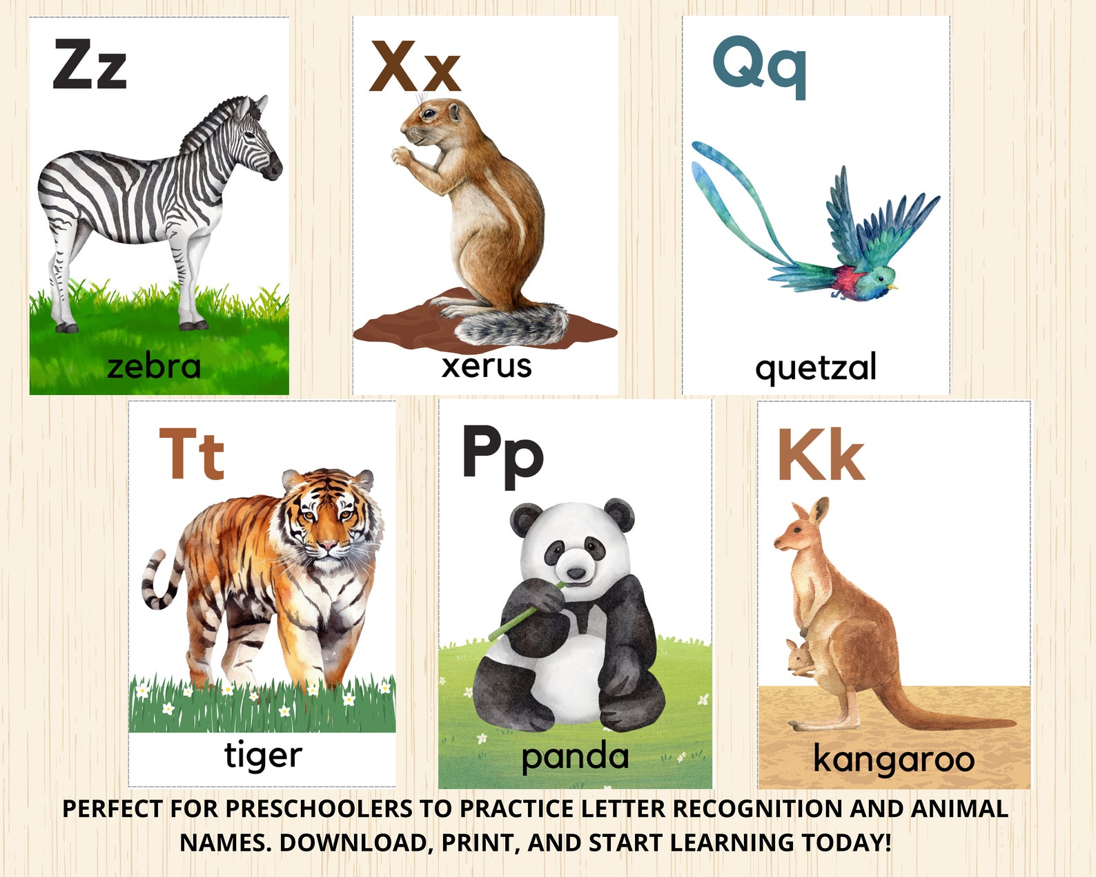 Zoo Animal Alphabet Cards,animals Flashcards,animals Montessori,safari ...