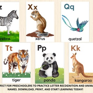 Zoo Animal Alphabet Cards,animals Flashcards,animals Montessori,safari ...