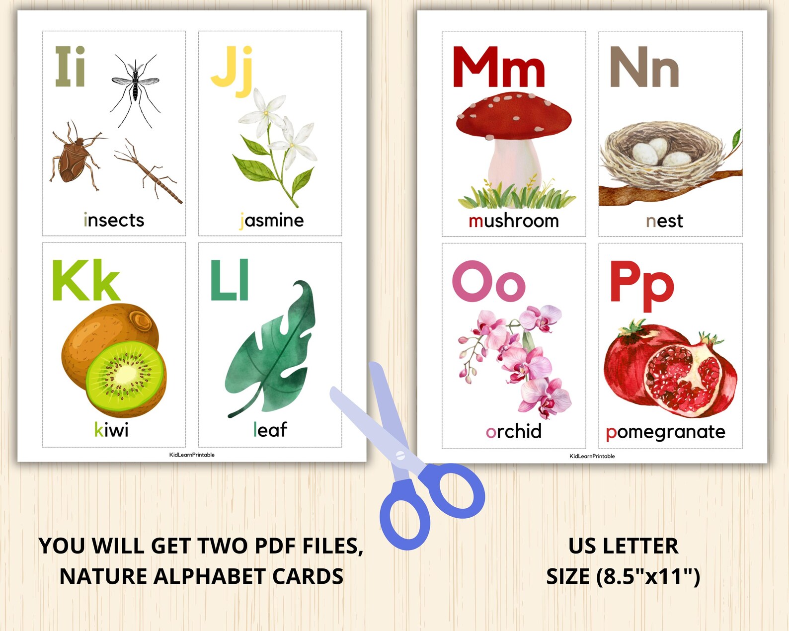 Nature Alphabet,nature Flashcard,fall Unit Study,alphabet Cards for ...