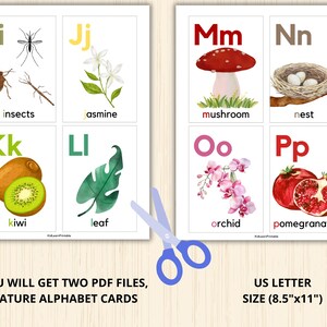 Nature Alphabet,nature Flashcard,fall Unit Study,alphabet Cards for ...
