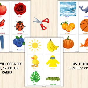 Color Sorting Activity,preschool Color Matching Game,montessori Color ...
