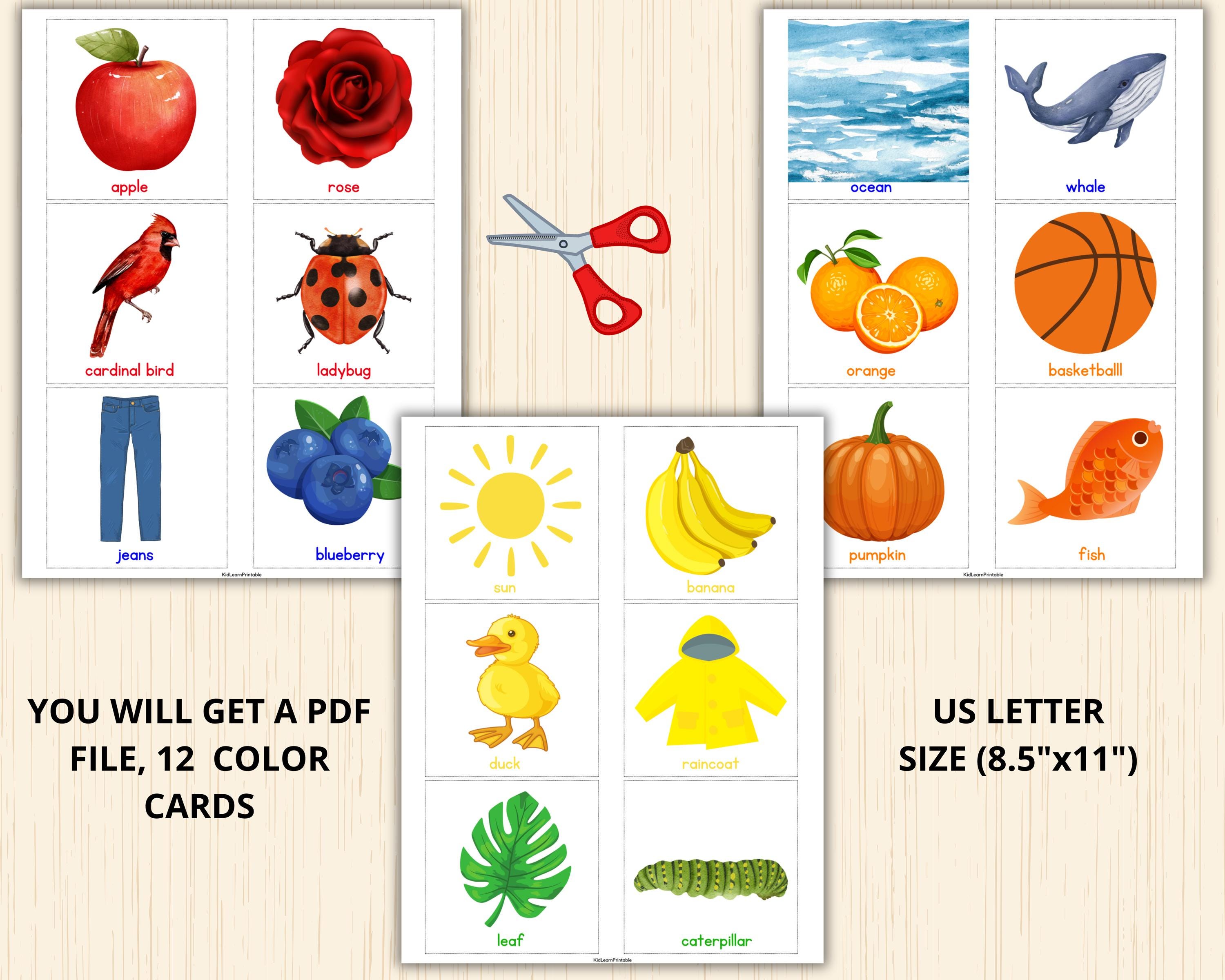 Color Sorting Activity,preschool Color Matching Game,montessori Color ...