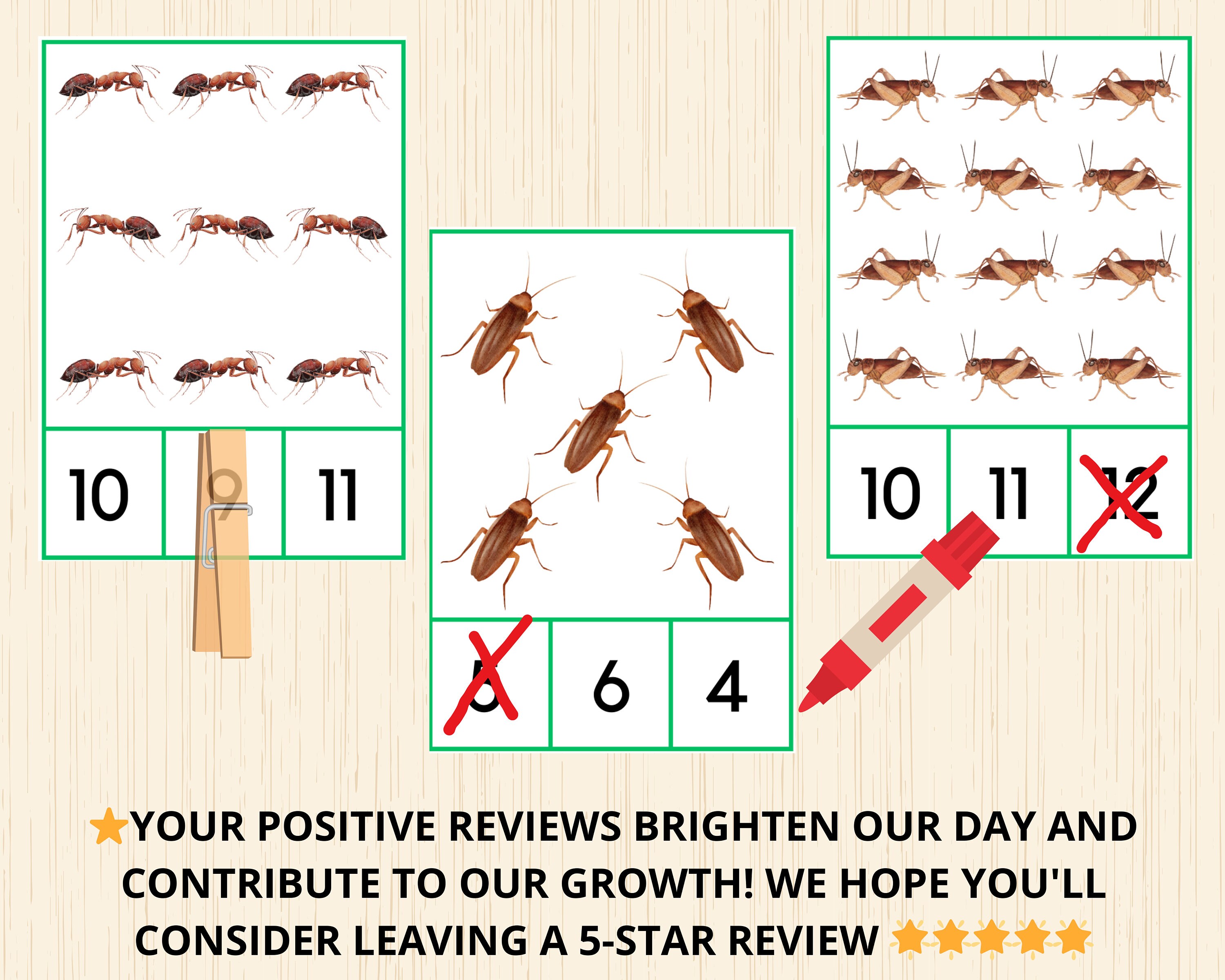 Insect Count and Clip Cards,numbers 1-20,insect Montessori,counting ...
