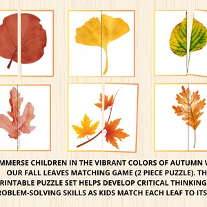 Matching Leaves,fall Activity for Kids, Toddler Activity,sensory Table ...