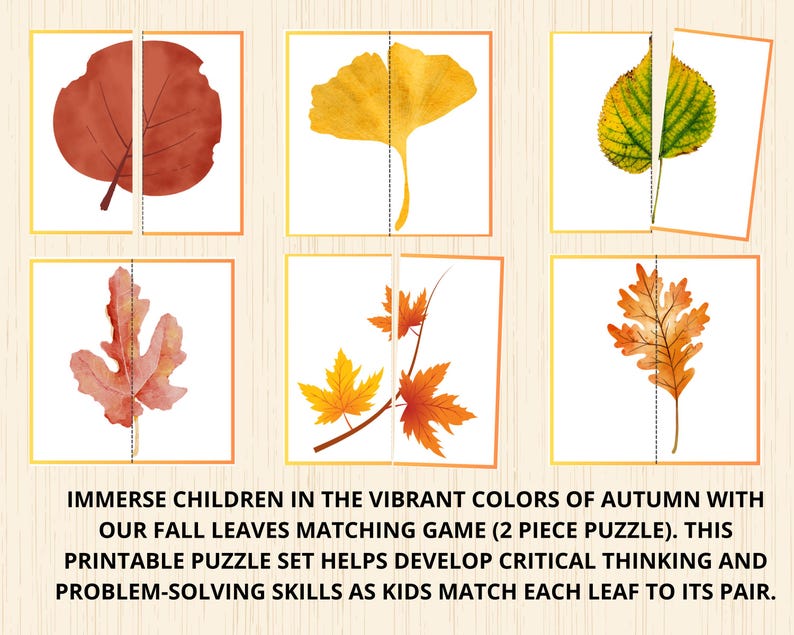 Matching Leaves,fall Activity for Kids, Toddler Activity,sensory Table ...