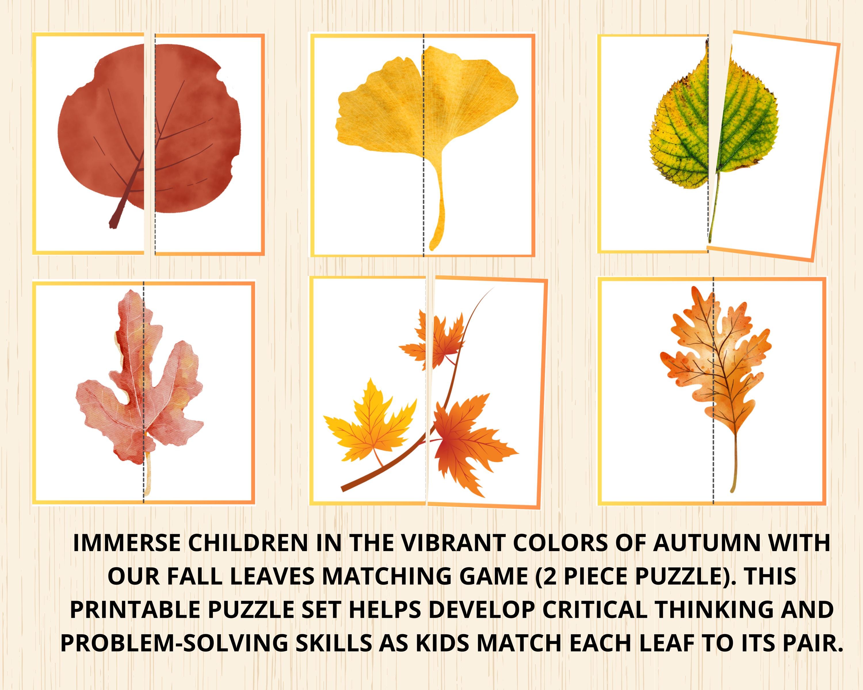 Matching Leaves,fall Activity for Kids, Toddler Activity,sensory Table ...