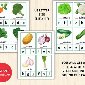 Vegetable Beginning Sound Clip Cards,veggies Montessori Preschool ...