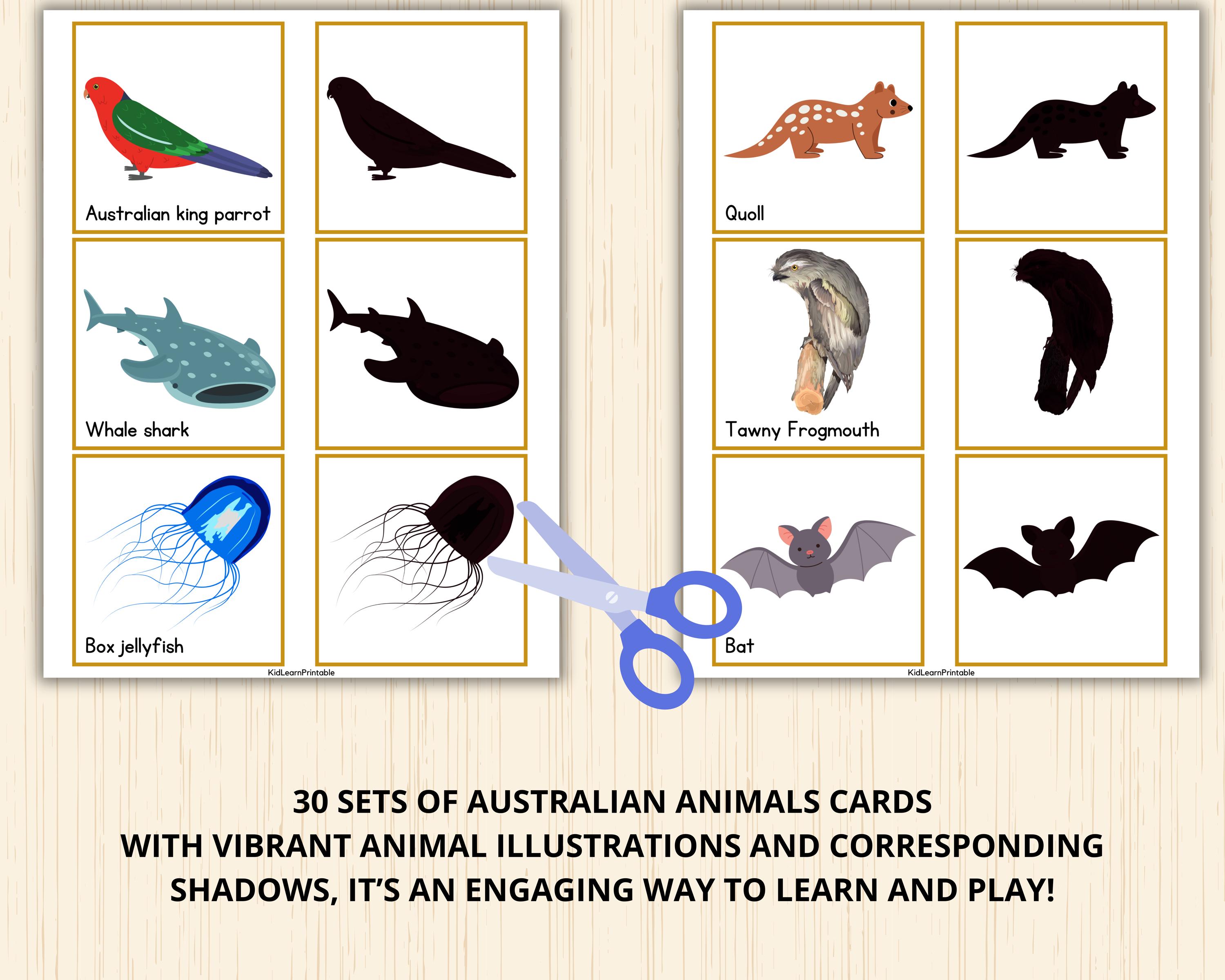 Australian Animals Shadow Matching Cards,australia Animal Flashcard ...