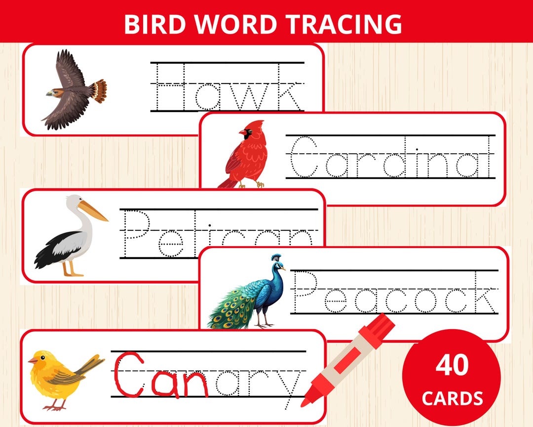 Bird Word Tracing Cards,backyard Birds Tracing,bird Vocabulary,bird ...