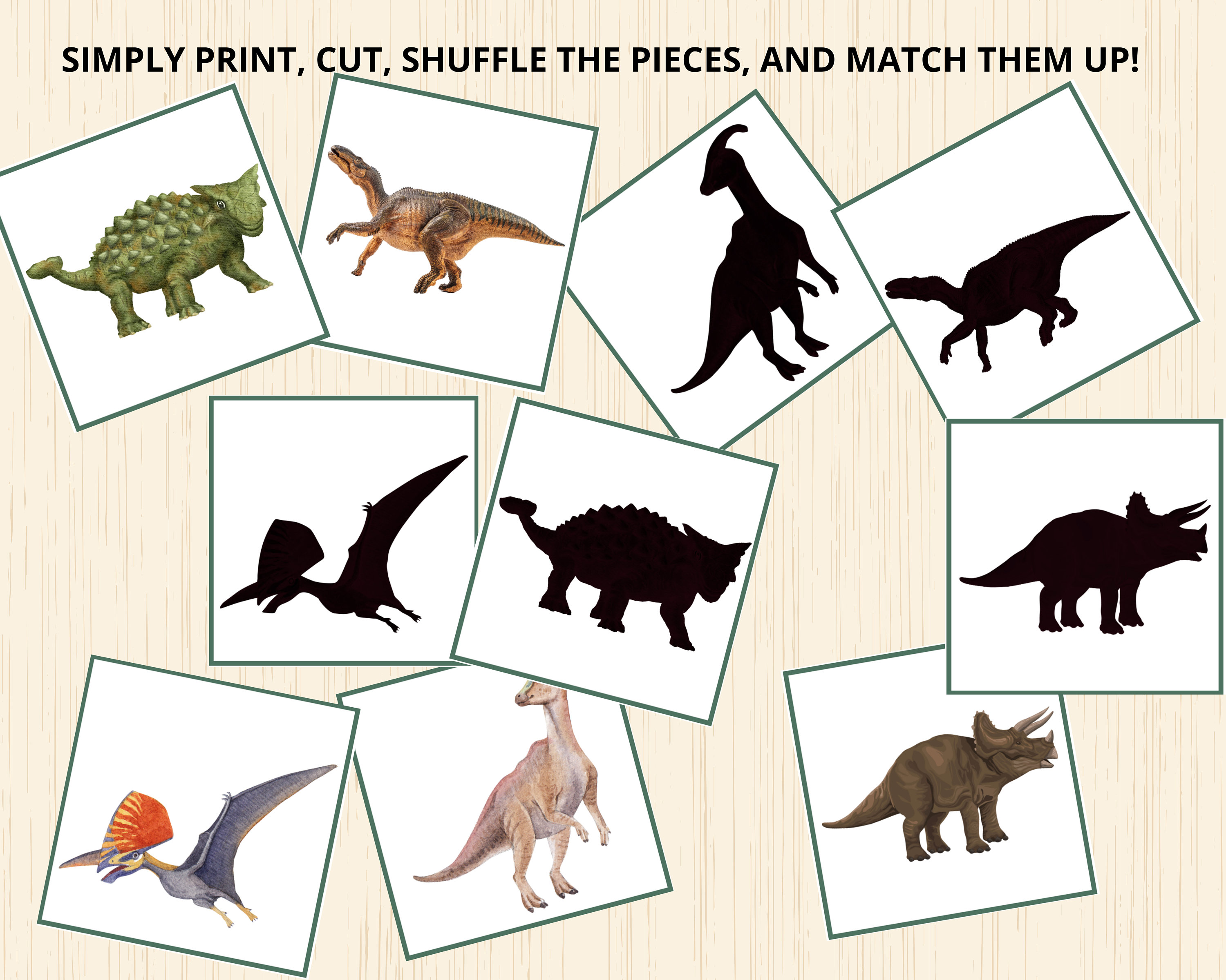 Dinosaur Shadow Matching Game,dinosaur Matching,dinosaur Montessori ...