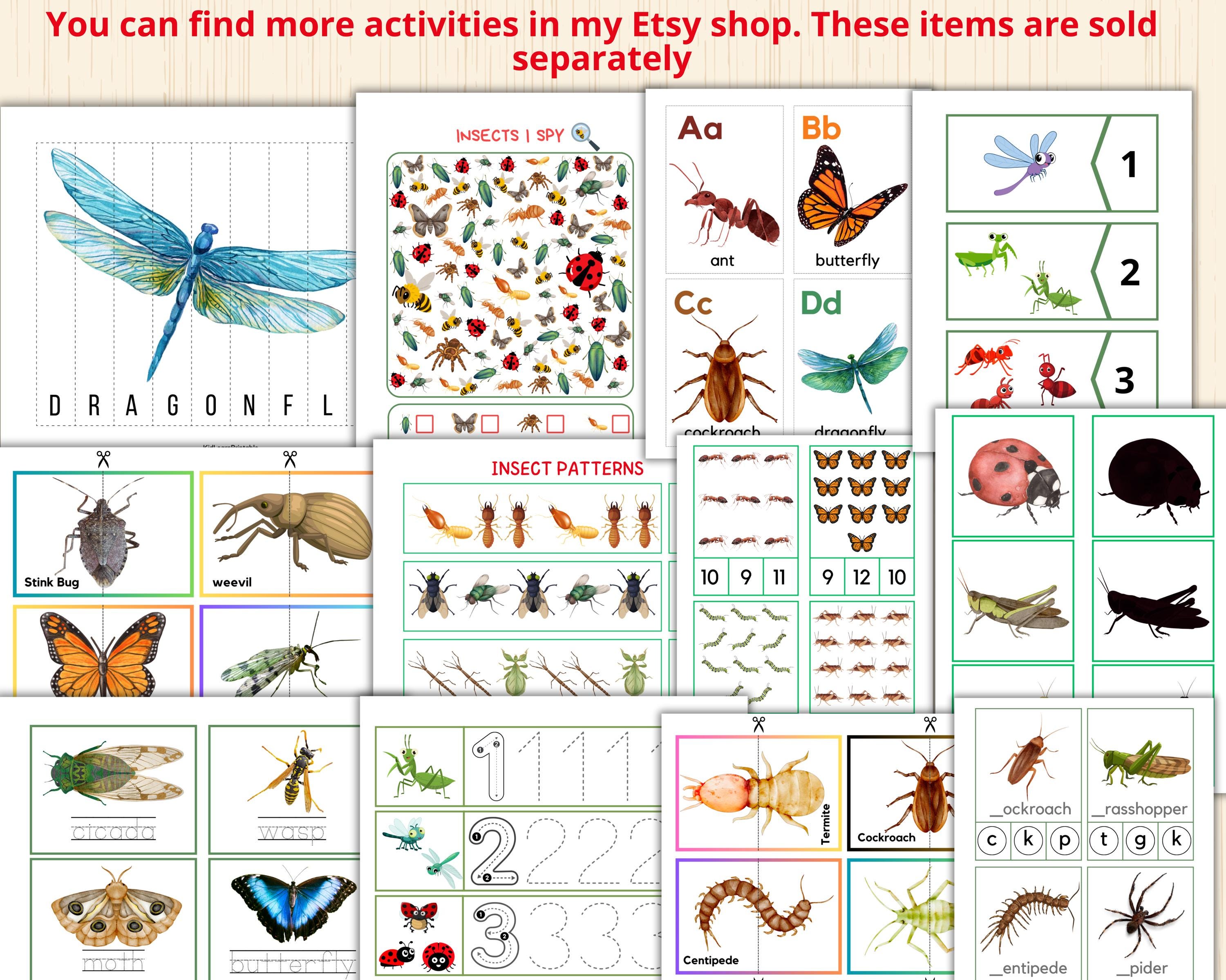 Bugs Sorting Activity,insect Sorting Game,preschool Insect,bug Unit ...