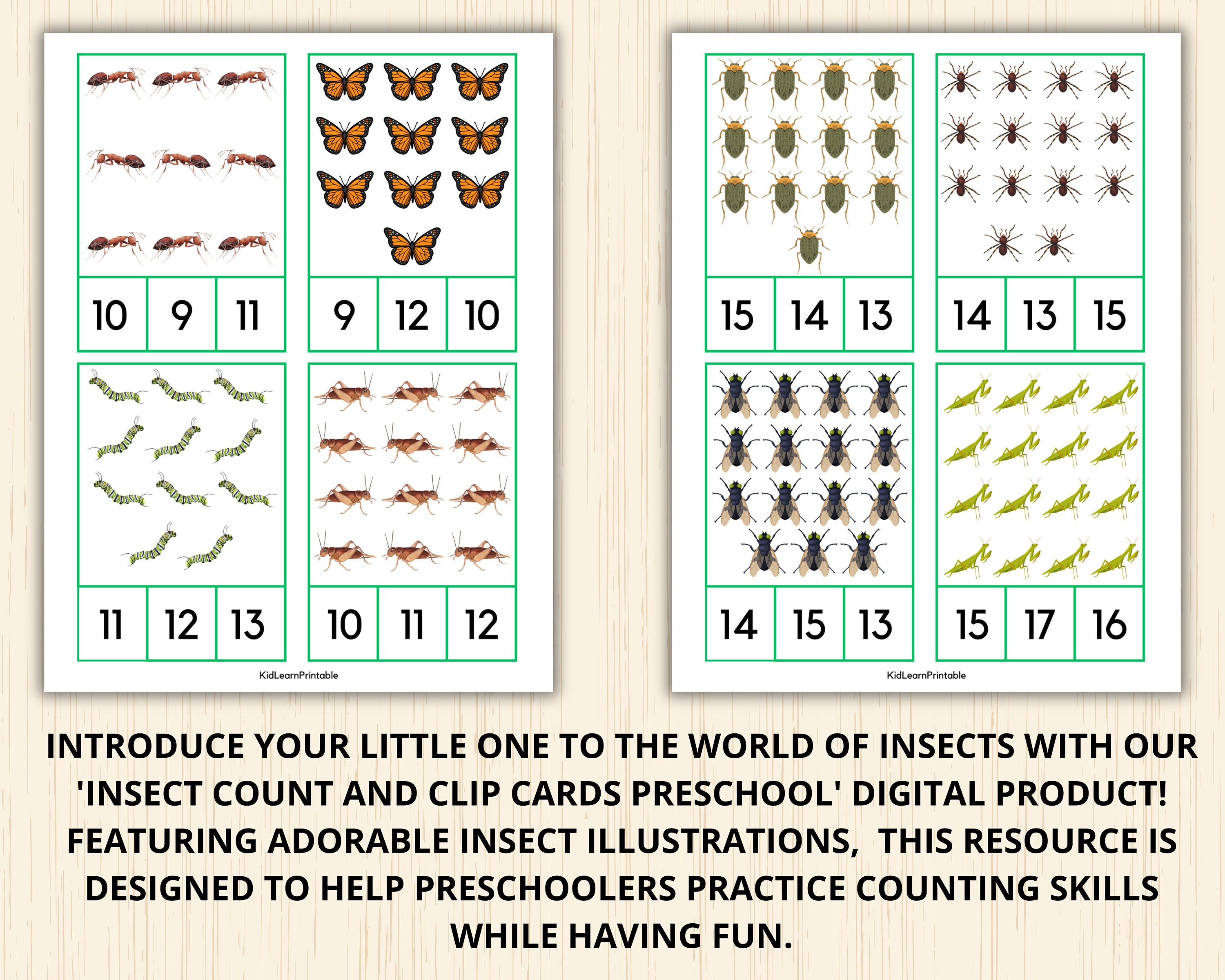 Insect Count and Clip Cards,numbers 1-20,insect Montessori,counting ...