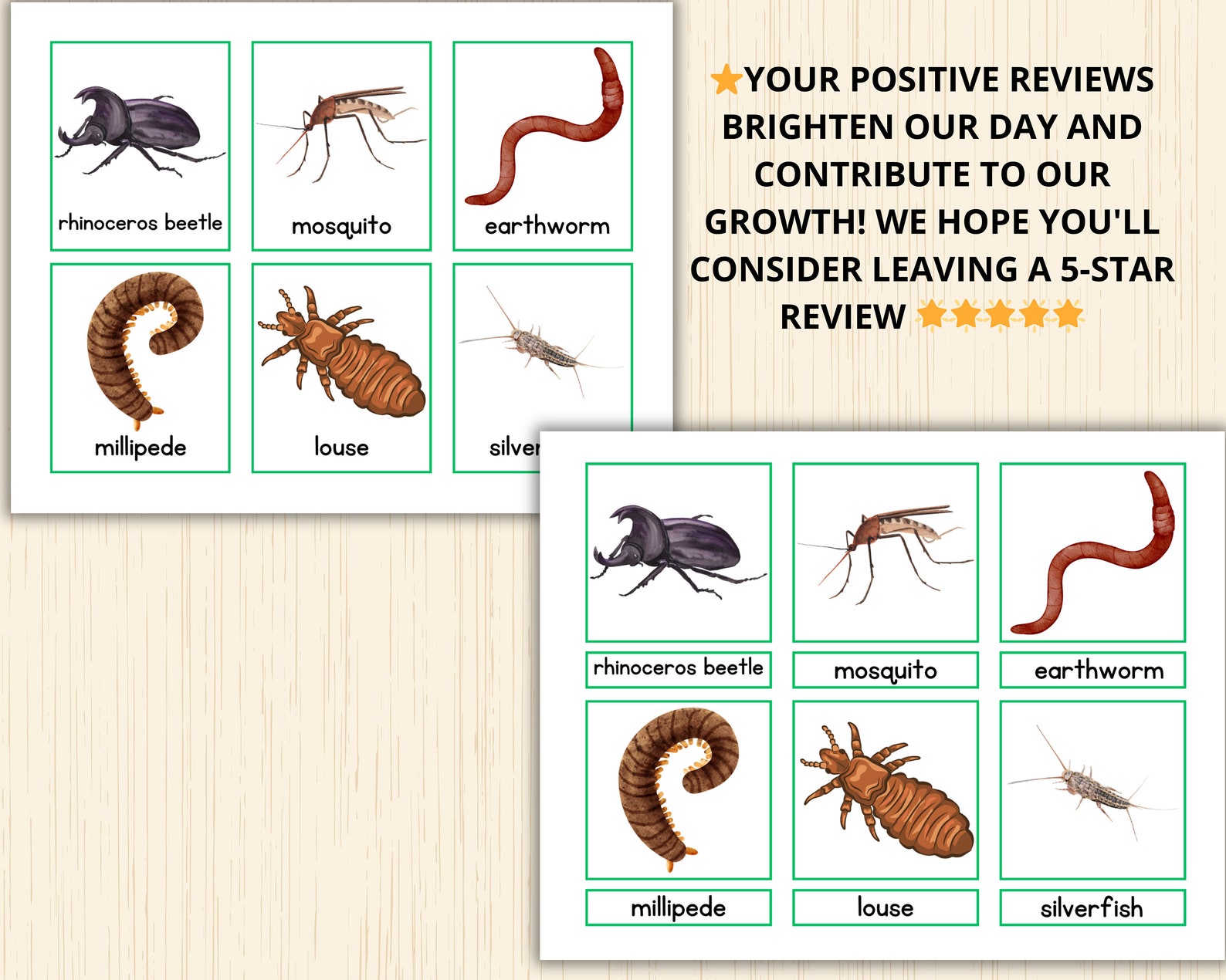 Insect Montessori Printable 3 Part Cards,bug Montessori 3 Part Cards ...