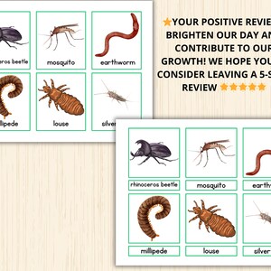 Insect Montessori Printable 3 Part Cards,bug Montessori 3 Part Cards ...