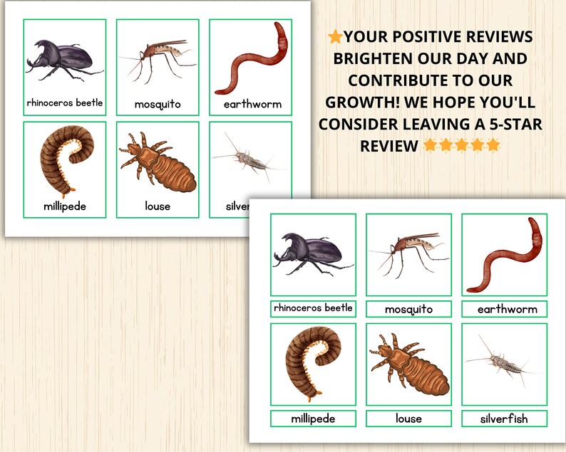 Tarjetas imprimibles Montessori de 3 partes sobre insectos, tarjetas ...