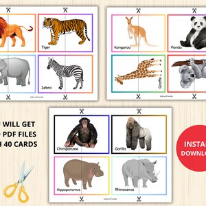 Zoo Animals Matching Game,zoo Animals Puzzle Pairs,puzzle Symmetry ...