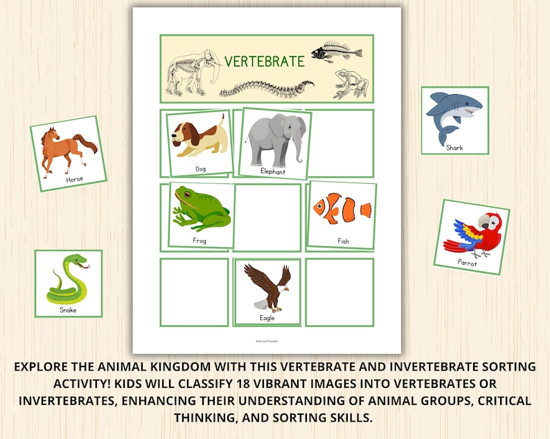 Animal Sorting Game,vertebrates and Invertebrates Sorting Cards,animal ...