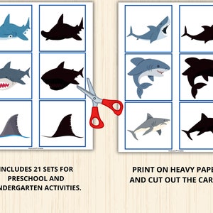Shark Shadow Matching Game,animals Matching,animal Matching Cards,shark ...