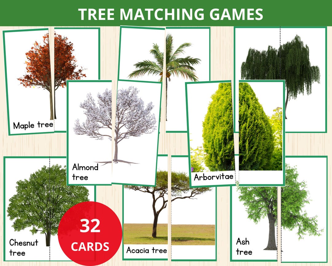 Tree Flashcards,tree Matching Cards,tree Real Pictures,tree Montessori ...