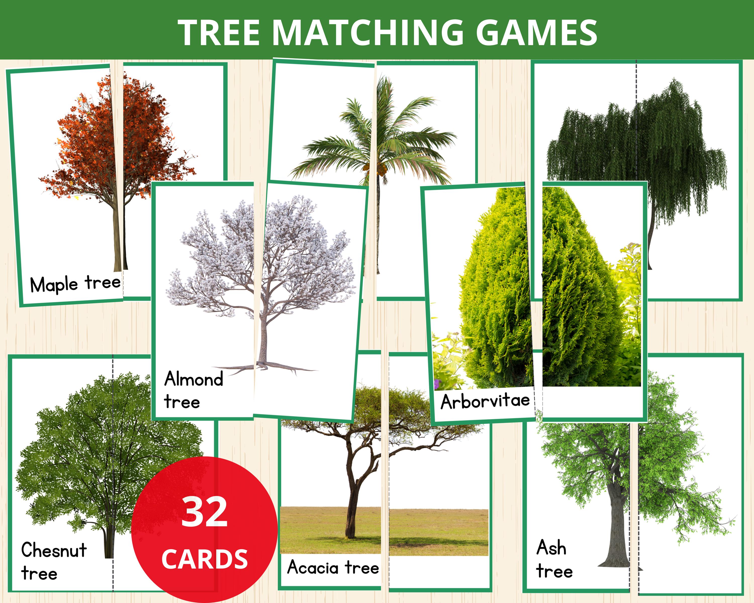 Tree Flashcards,tree Matching Cards,tree Real Pictures,tree Montessori ...
