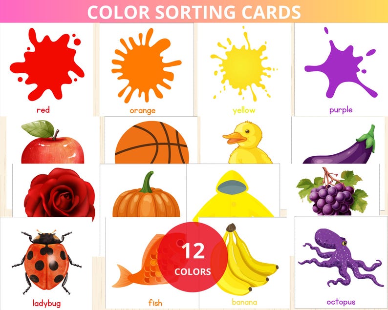Color Sorting Activity,preschool Color Matching Game,montessori Color ...
