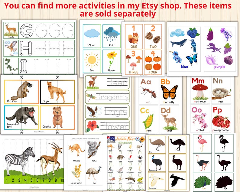 Animal Shadow Matching ,animal Puzzles,montessori Animal Shadow Match ...