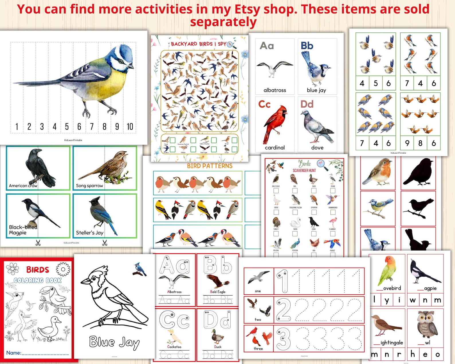 Bird Coloring Pages,bird Coloring Sheets,bird Preschool Activity,bird ...