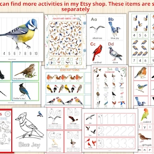 Bird Coloring Pages,bird Coloring Sheets,bird Preschool Activity,bird ...