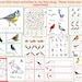 Bird Coloring Pages,bird Coloring Sheets,bird Preschool Activity,bird ...