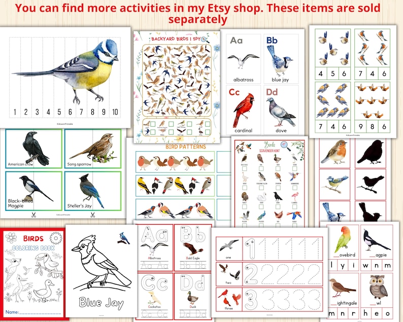 Bird Coloring Pages,bird Coloring Sheets,bird Preschool Activity,bird ...