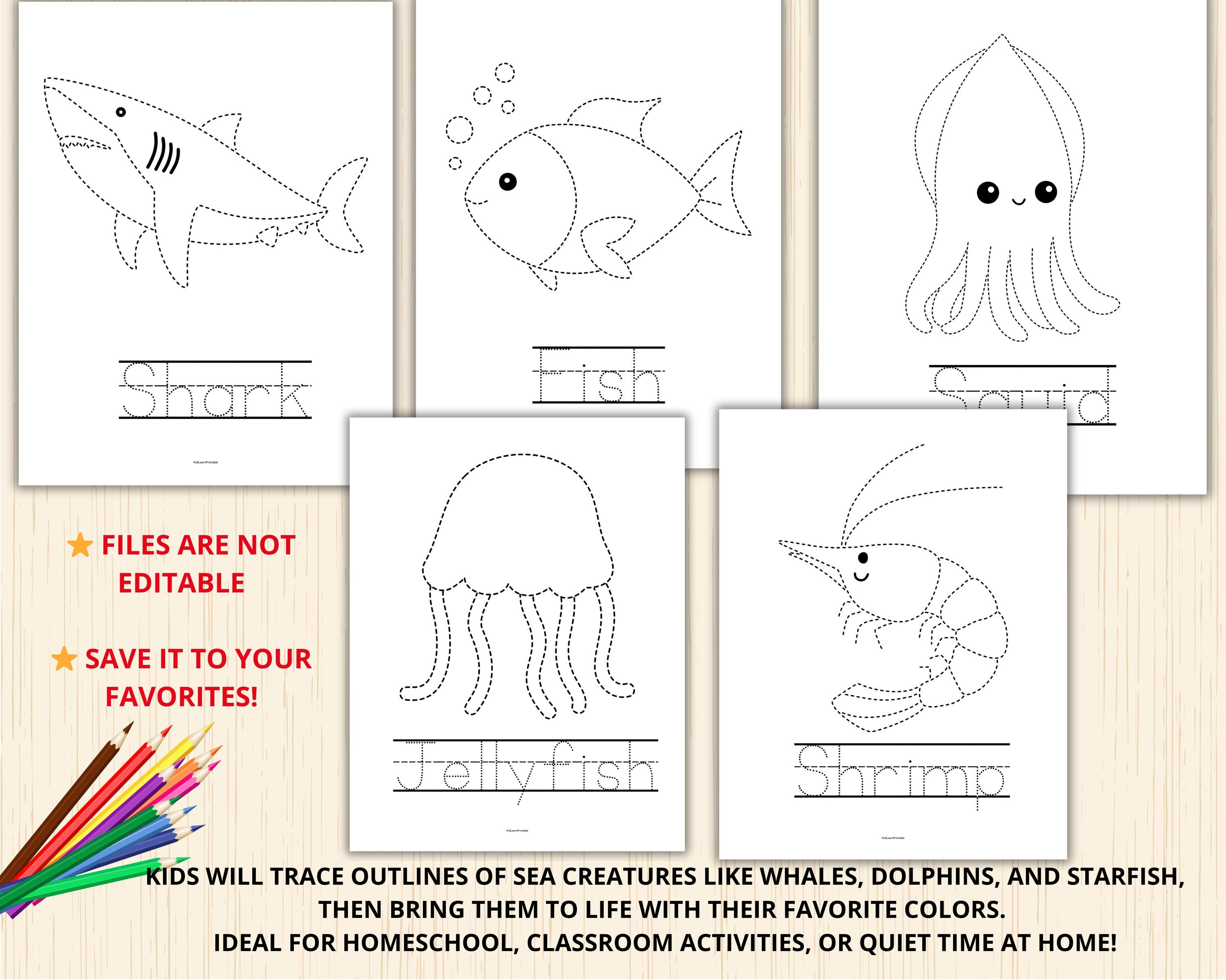 Ocean Animals Tracing,ocean Animal Coloring Pages,tracing Sea Animals ...