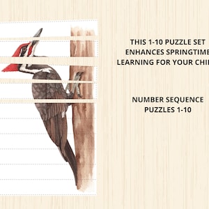 Birds Puzzle, Birds Number Sequence Puzzle,montessori Spring Math ...
