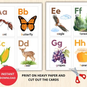 Nature Alphabet,nature Flashcard,fall Unit Study,alphabet Cards for ...