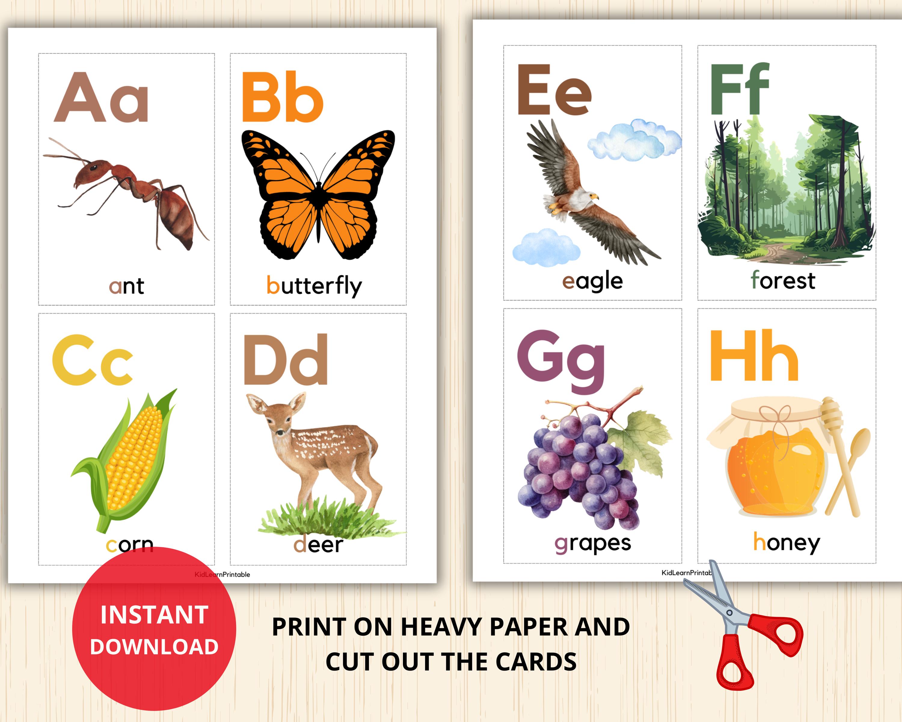 Nature Alphabet,nature Flashcard,fall Unit Study,alphabet Cards for ...