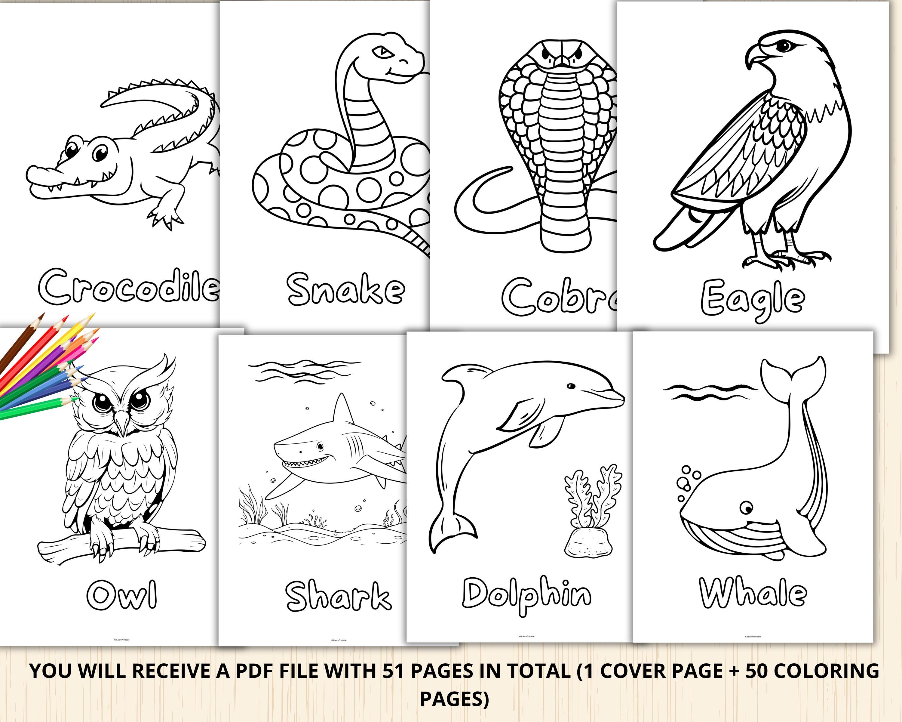Wild Animals Coloring Pages,zoo Animals Coloring Pages,animal Coloring ...