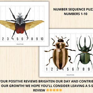 Beetle Number Puzzle,beetle Matching Activity,beetle Symmetry Puzzle ...