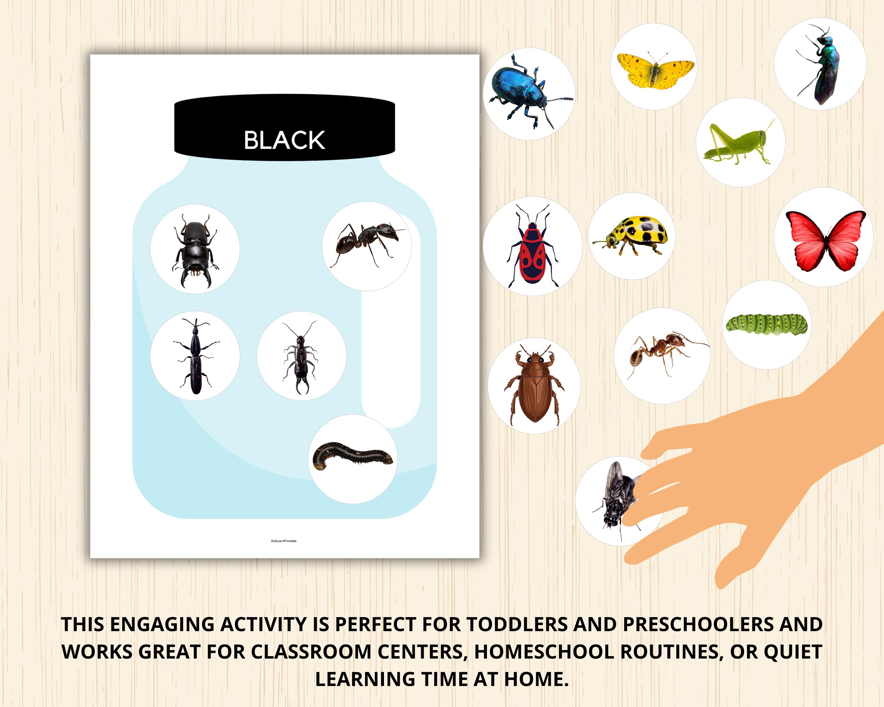Bug Color Sorting,insect Color Matching,bug Sorting Game,insect Unit ...