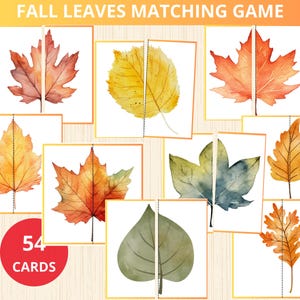 Matching Leaves,fall Activity for Kids, Toddler Activity,sensory Table ...