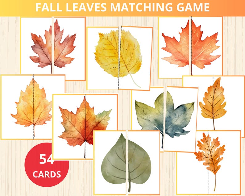 Matching Leaves,fall Activity for Kids, Toddler Activity,sensory Table ...