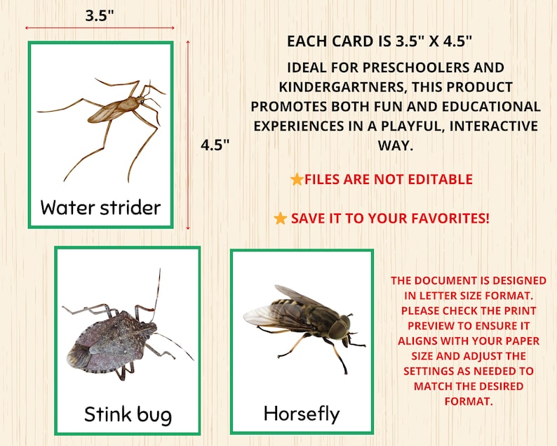 Insect Flashcards,bug Flashcards,bugs Montessori Preschool,bug ...