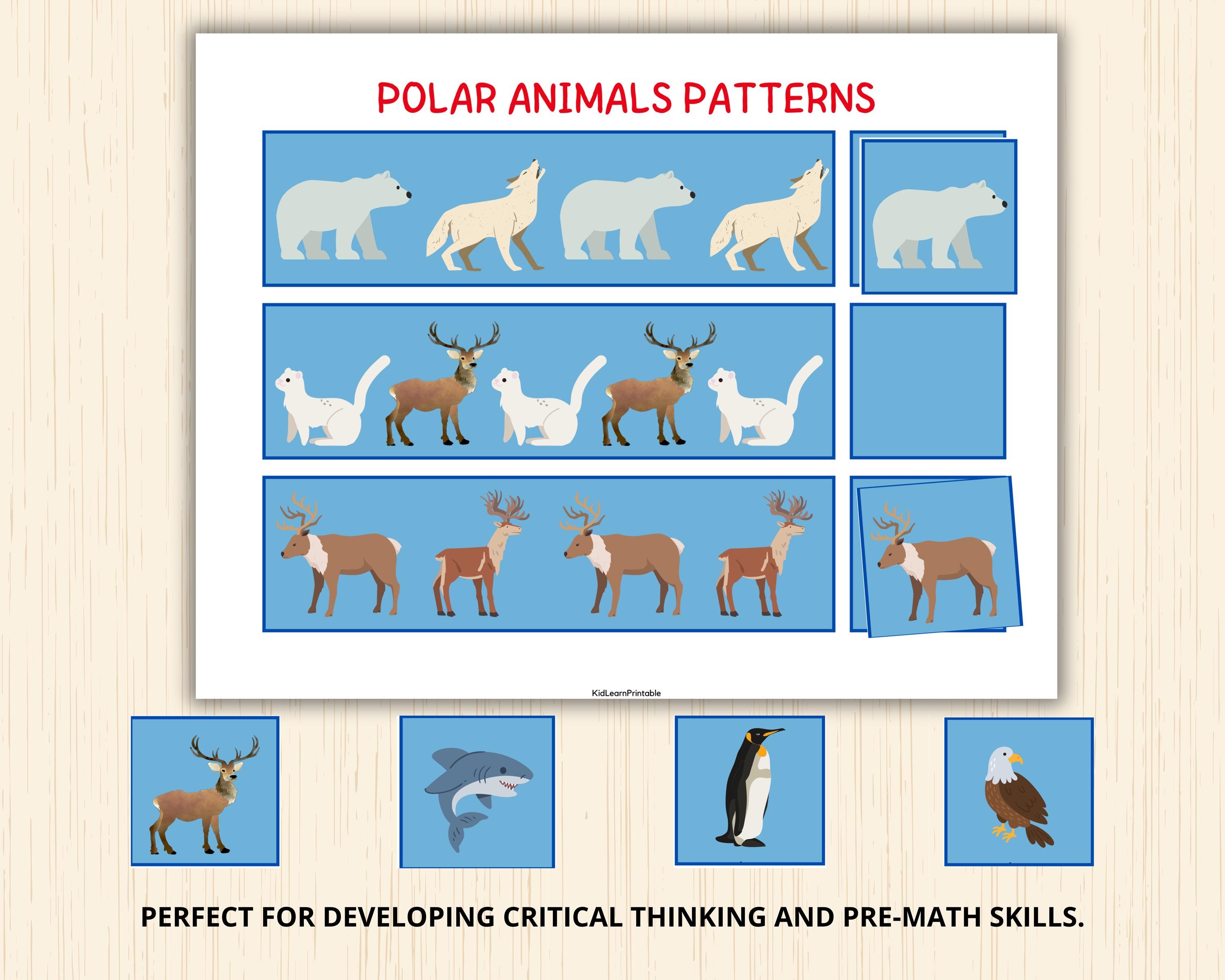 Polar Animals Patterns,ab AAB Patterns,what Comes Next,pattern Activity ...