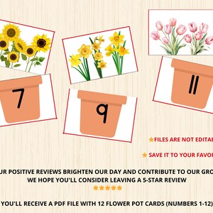 Flower Number Matching,spring Counting Number,spring Preschool Activity ...