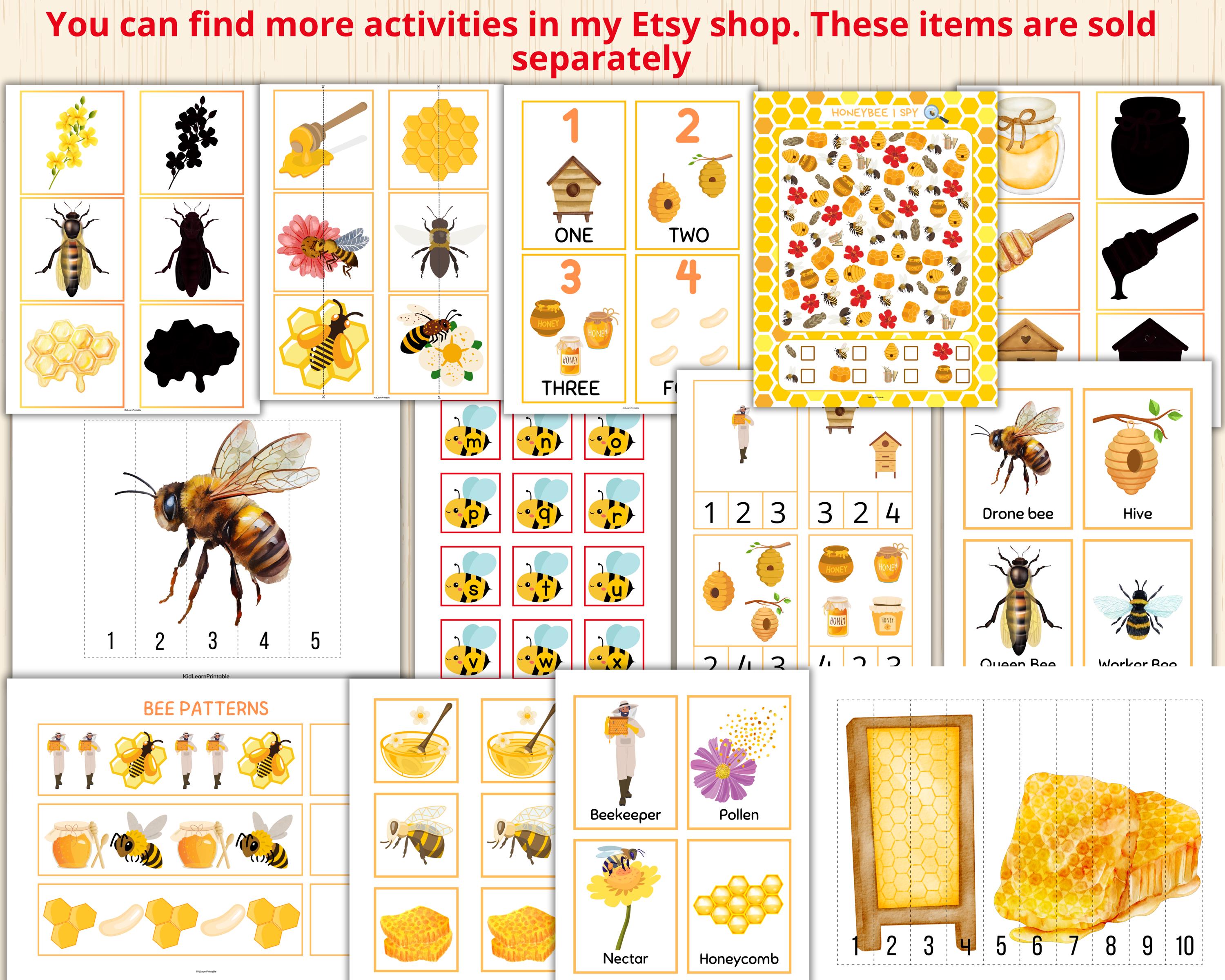 Bee Preschool Activity,bee Unit Study,honeybee Busy Book,sensory Bin ...