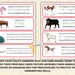 Farm Animals Word Tracing Cards,farm Words Tracing,farm Montessori,farm ...