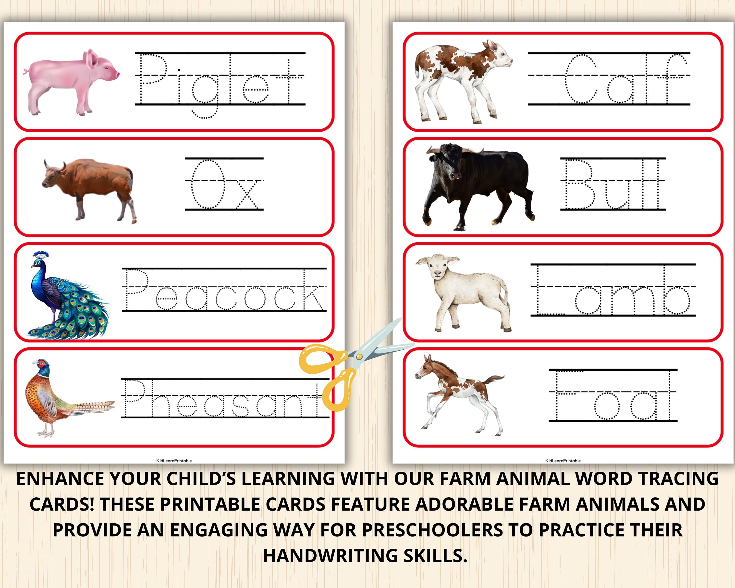 Farm Animals Word Tracing Cards,farm Words Tracing,farm Montessori,farm ...
