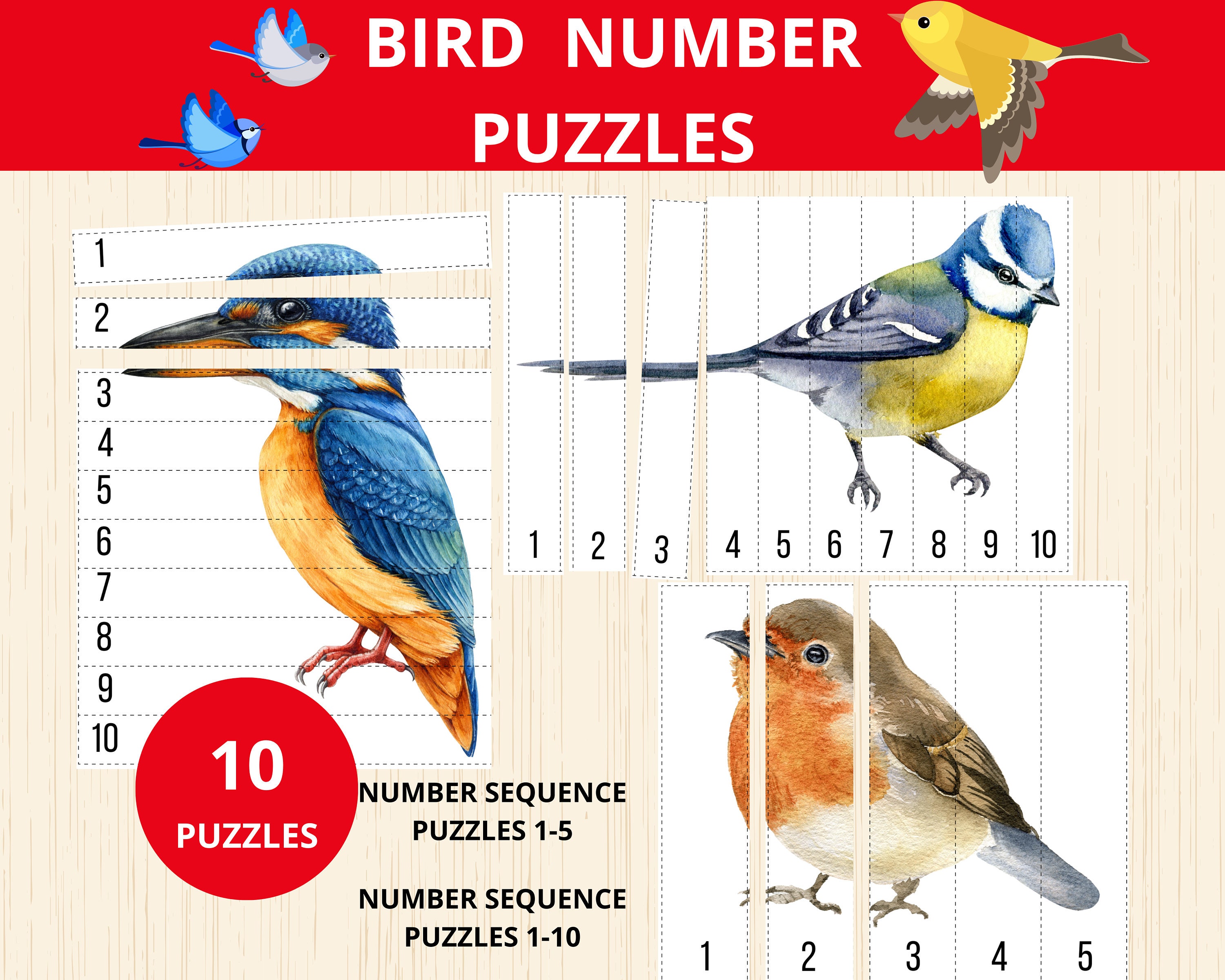 Birds Puzzle, Birds Number Sequence Puzzle,montessori Spring Math ...