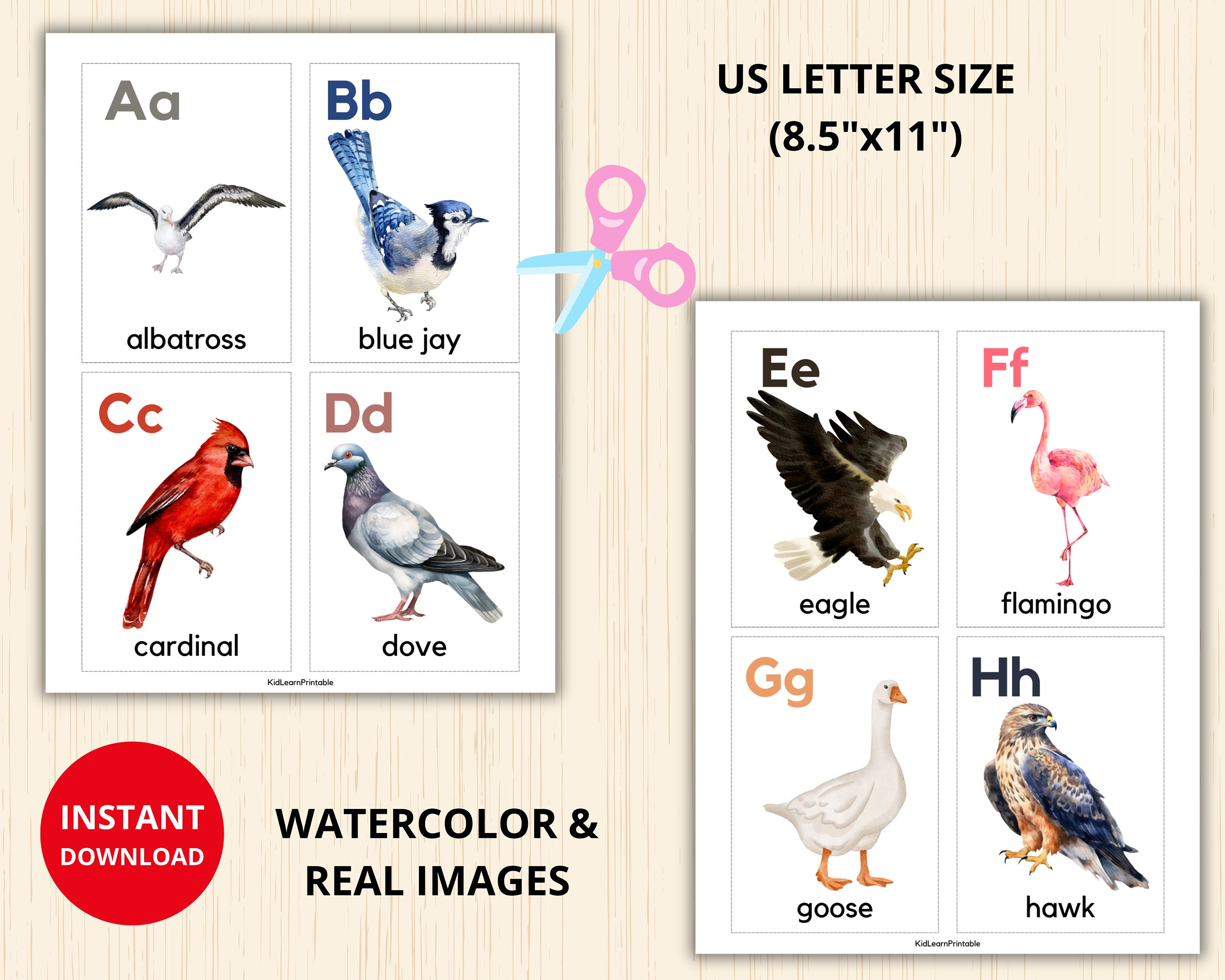 Birds Flashcards, Birds Alphabet Cards, Alphabet Flash Cards, Birds ...
