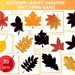 Fall Matching Activities, Autumn Leaves,shadow Matching Game,fall ...